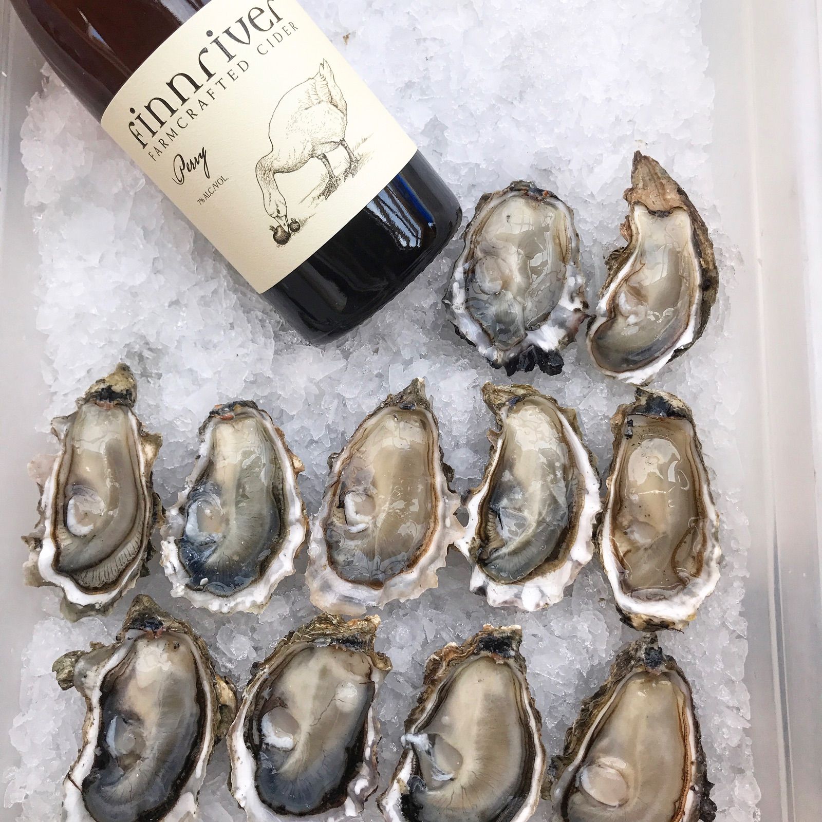 Weddings At Finnriver