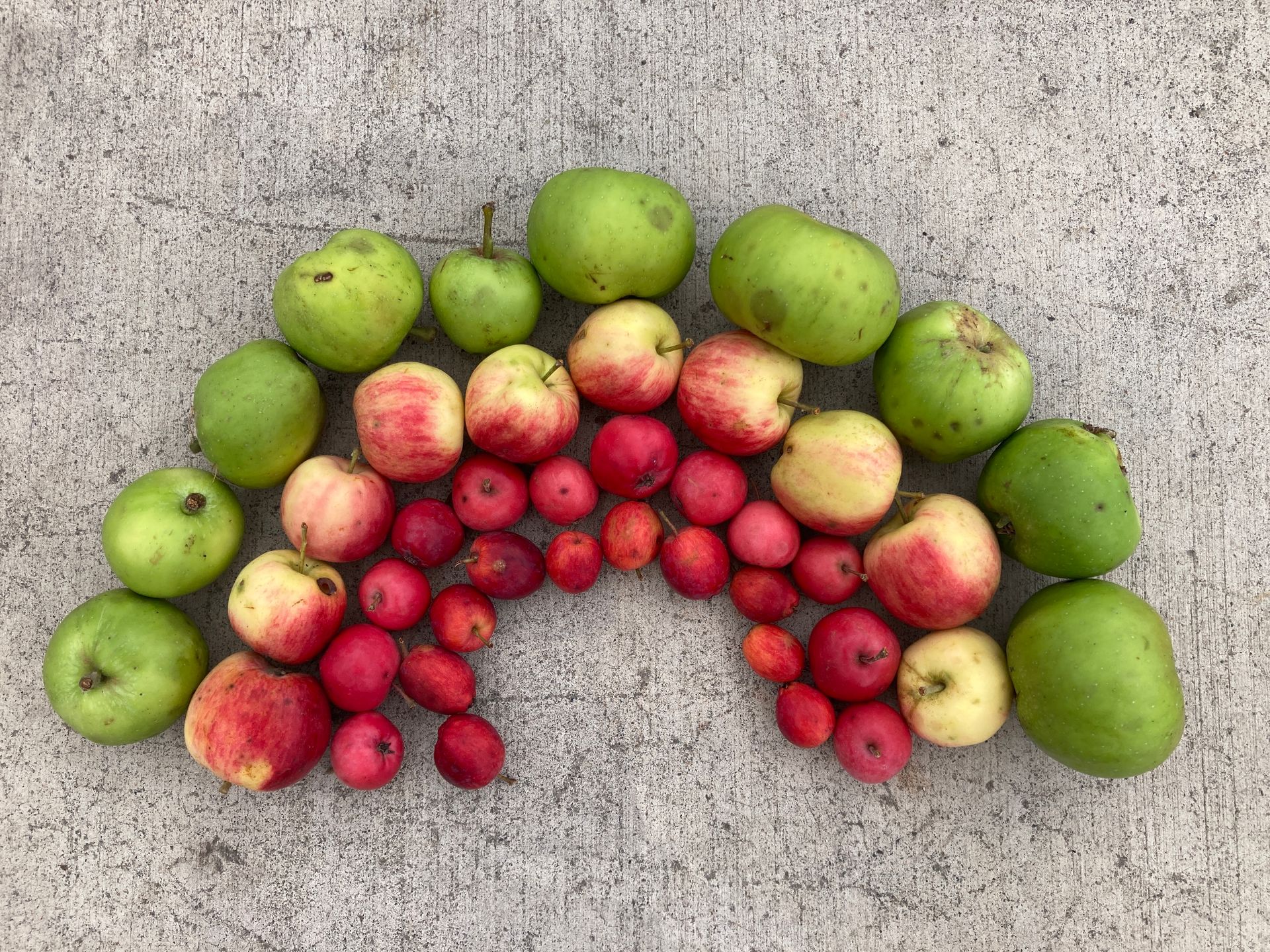 Finnriver Apple Day