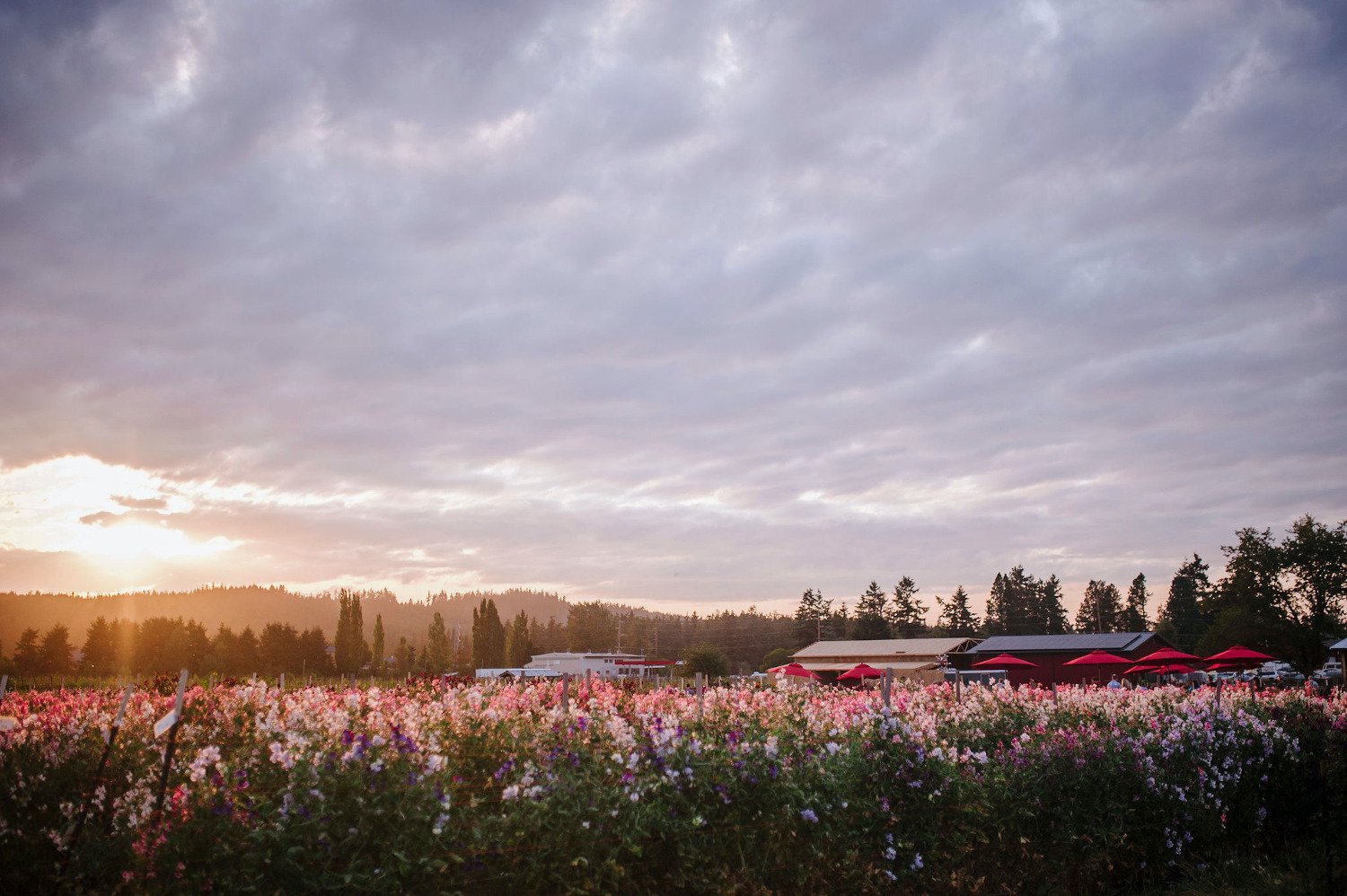 Plan Your Private Event at Finnriver