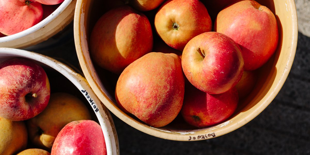 Finnriver Farm & Cidery: Craft Ciders & Fruit Wines