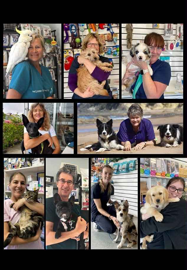 North Shore City – Veterinary surgeons Devonport Veterinary Clinic