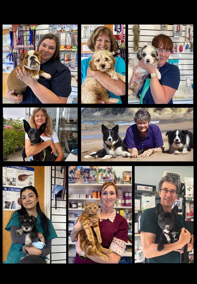 North Shore City – Veterinary surgeons Devonport Veterinary Clinic