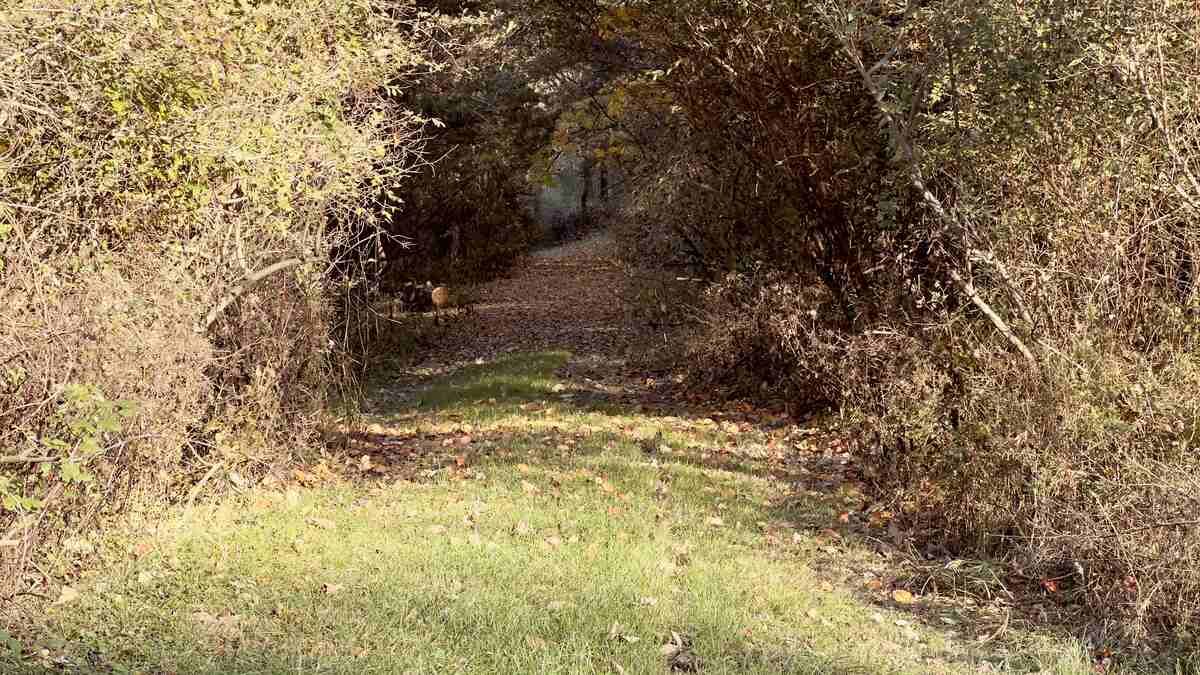 Dearborn County Indiana Parks | Visit our Rullman Wildlife Refuge Park!