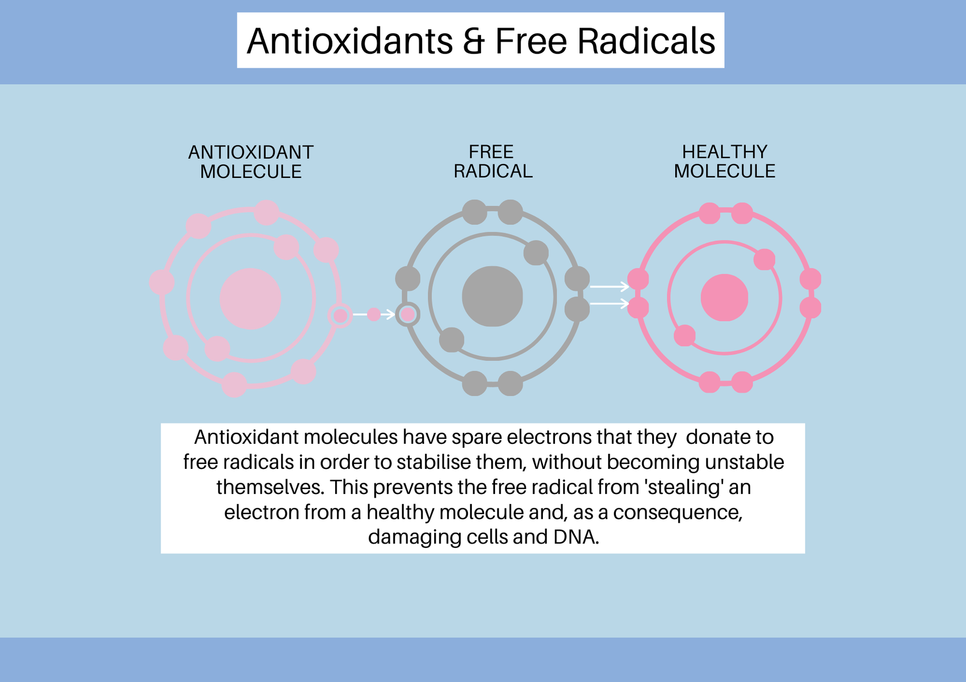 The Impact of Free Radicals: Understanding the Hidden Dangers to Our Health