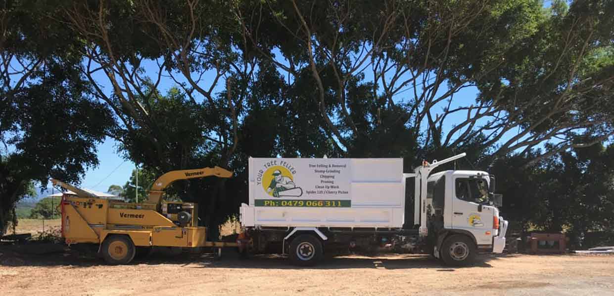 Mulching Services Lismore | Your Tree Feller
