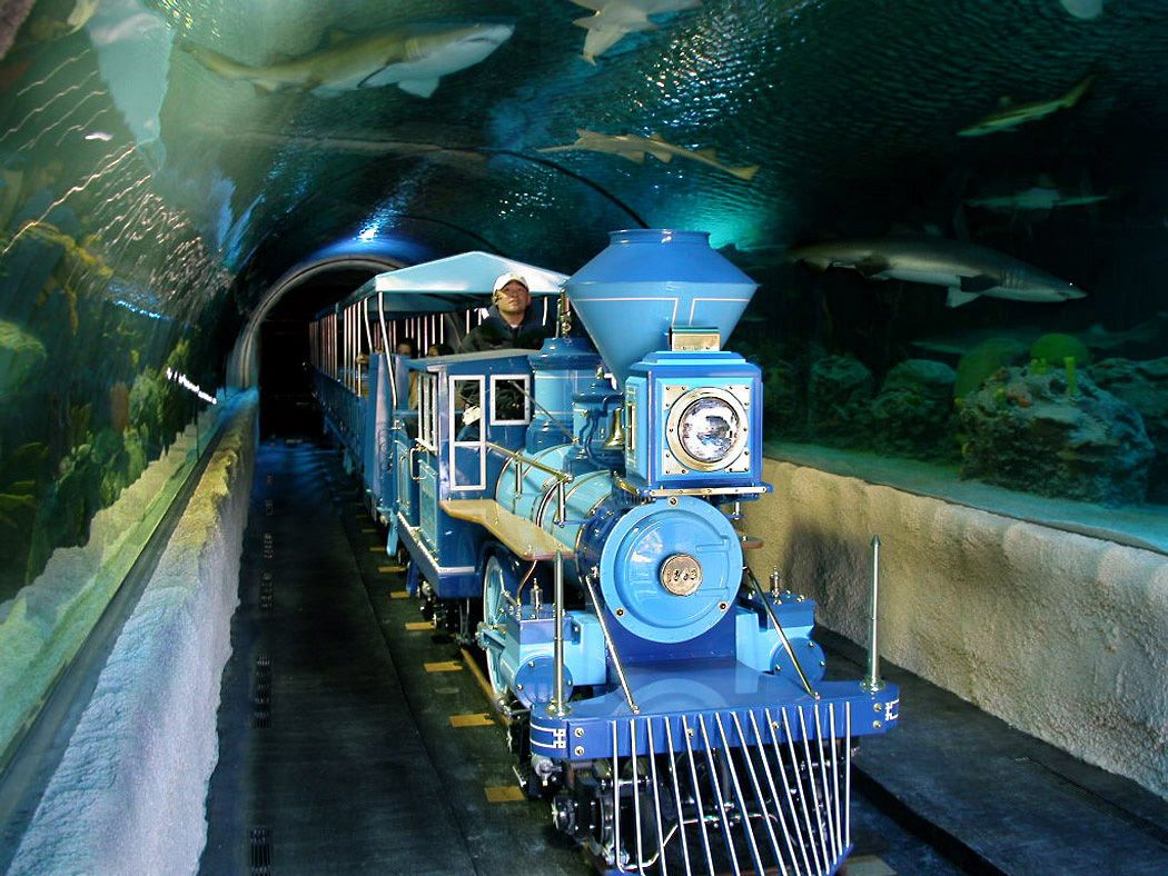 List Of Rides & Games | Downtown Aquarium Houston, TX