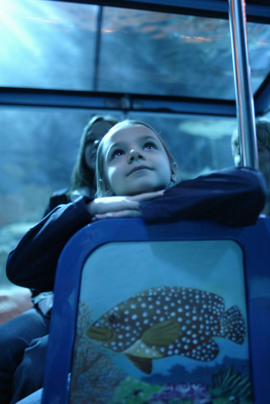 Shark Voyage Train Ride | Downtown Aquarium - Houston