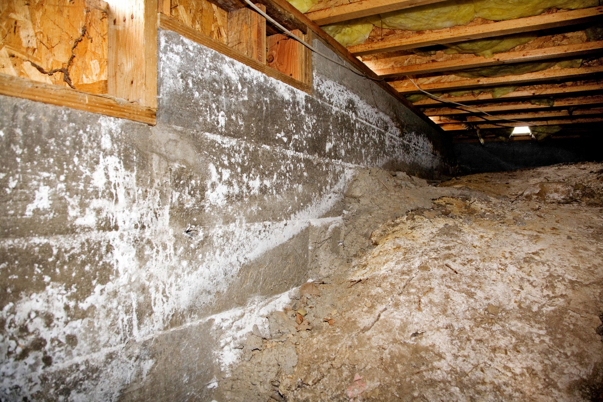 Crawl Space Moisture and Damage Repair – Chesapeake, VA