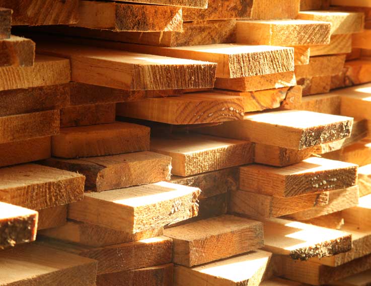 Venta de Madera en Zempoala, Hidalgo | Maderería Matilde