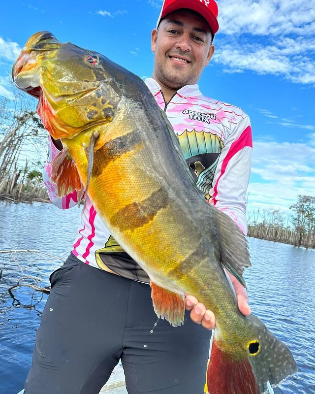 Pousada Rei da Amazônia - Rio Itu Barcelos AM ( BCA Fishing)