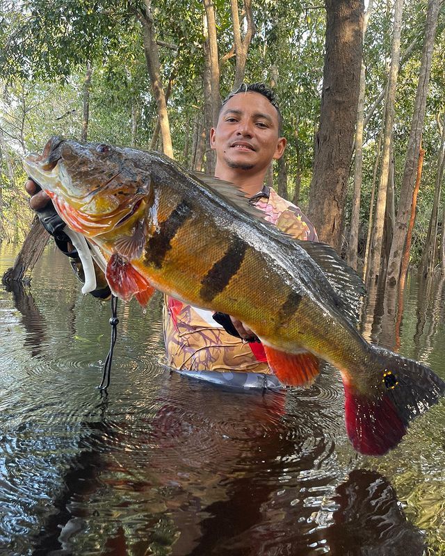Pousada Rei da Amazônia - Rio Itu Barcelos AM ( BCA Fishing)