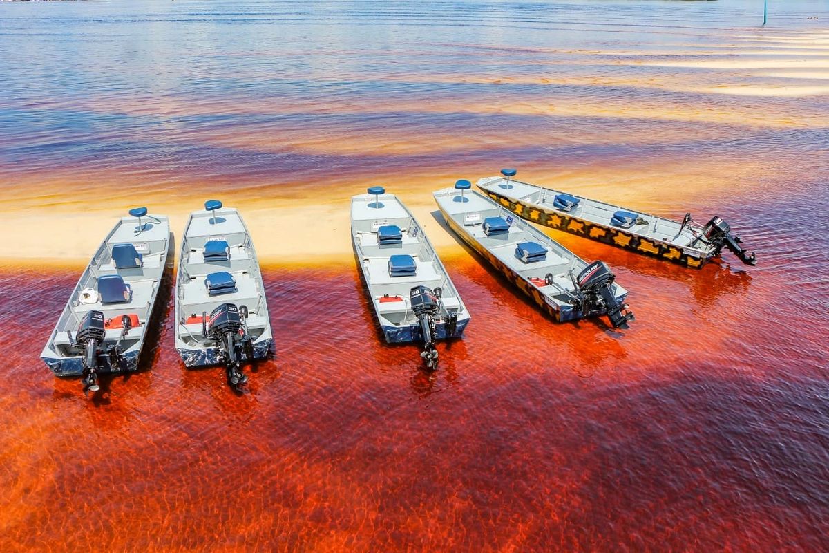 Barco Hotel Perversa (BARCELOS AM )