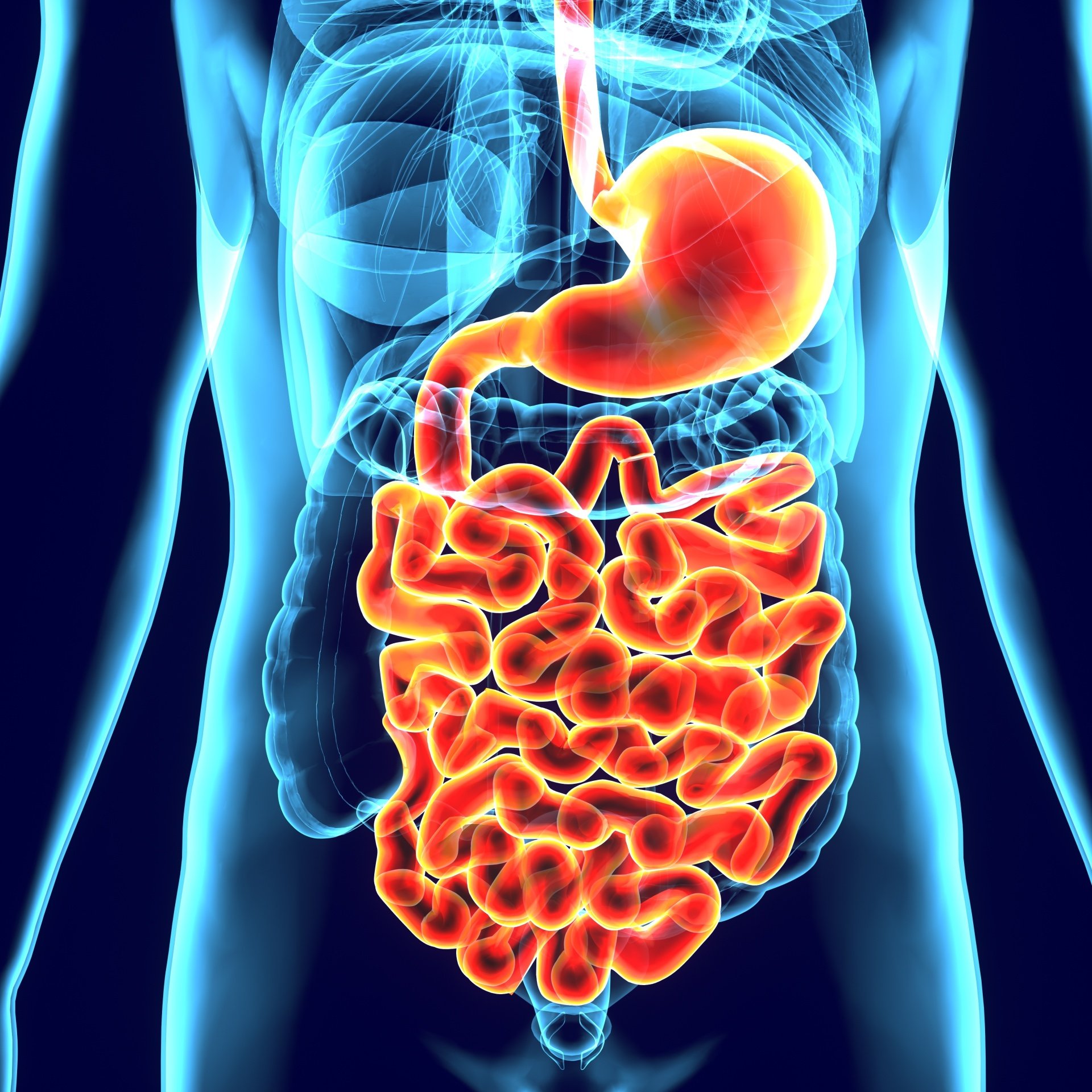 Tudo que você precisa saber sobre a colonoscopia