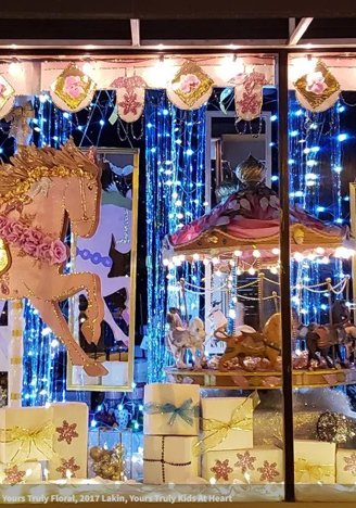 Window Display Gallery