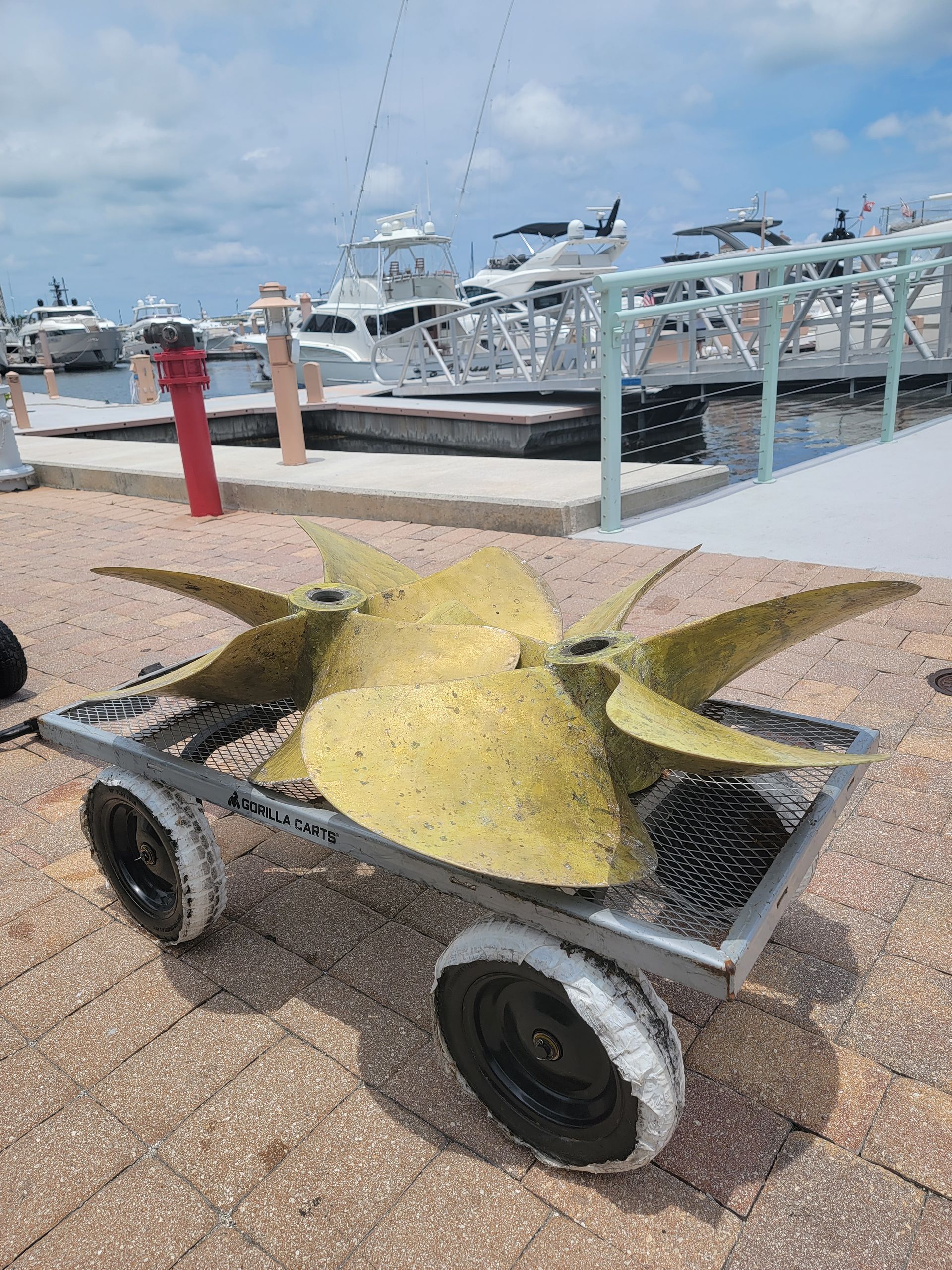 Palm Beach Underwater Services | Recent Work