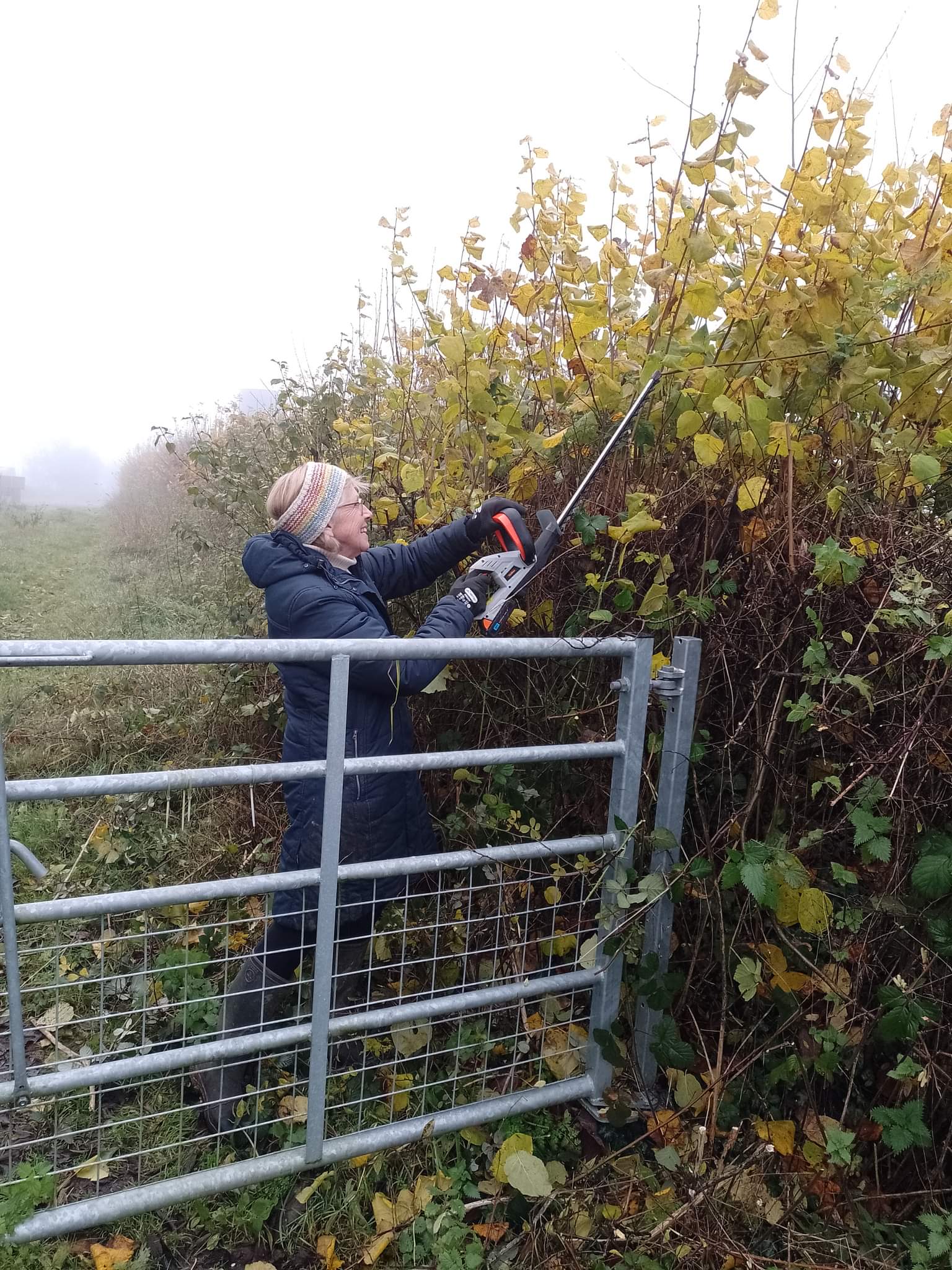 CHOOSE A MARKED UP MAP