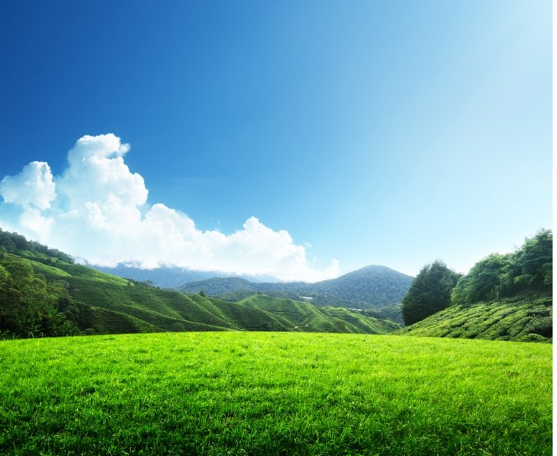 What’s the difference between rural and remote doctor work?