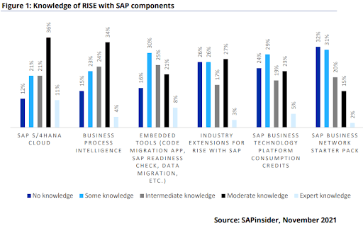 RISE with SAP – After a year, what do customers really think?