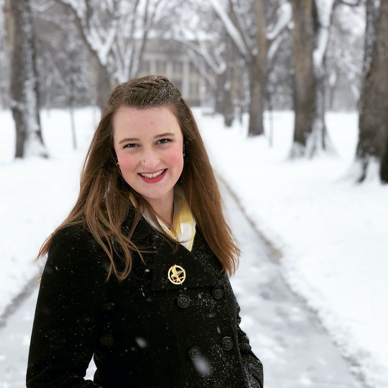 Creative Arts Therapists in Northern Virginia