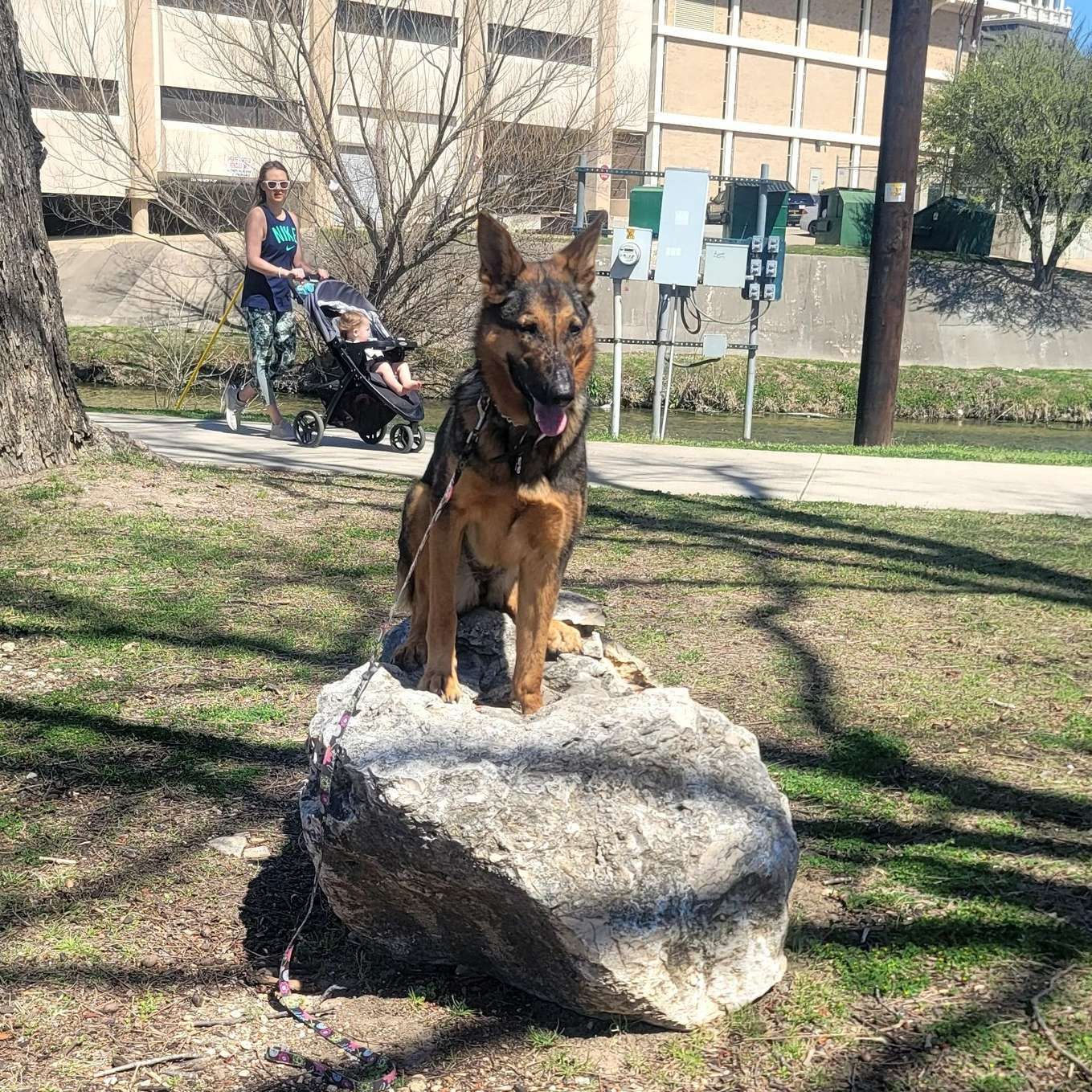 Dog Trainer, Dog Boarding | Belton, TX | Ruff Puppy Boarding & Training