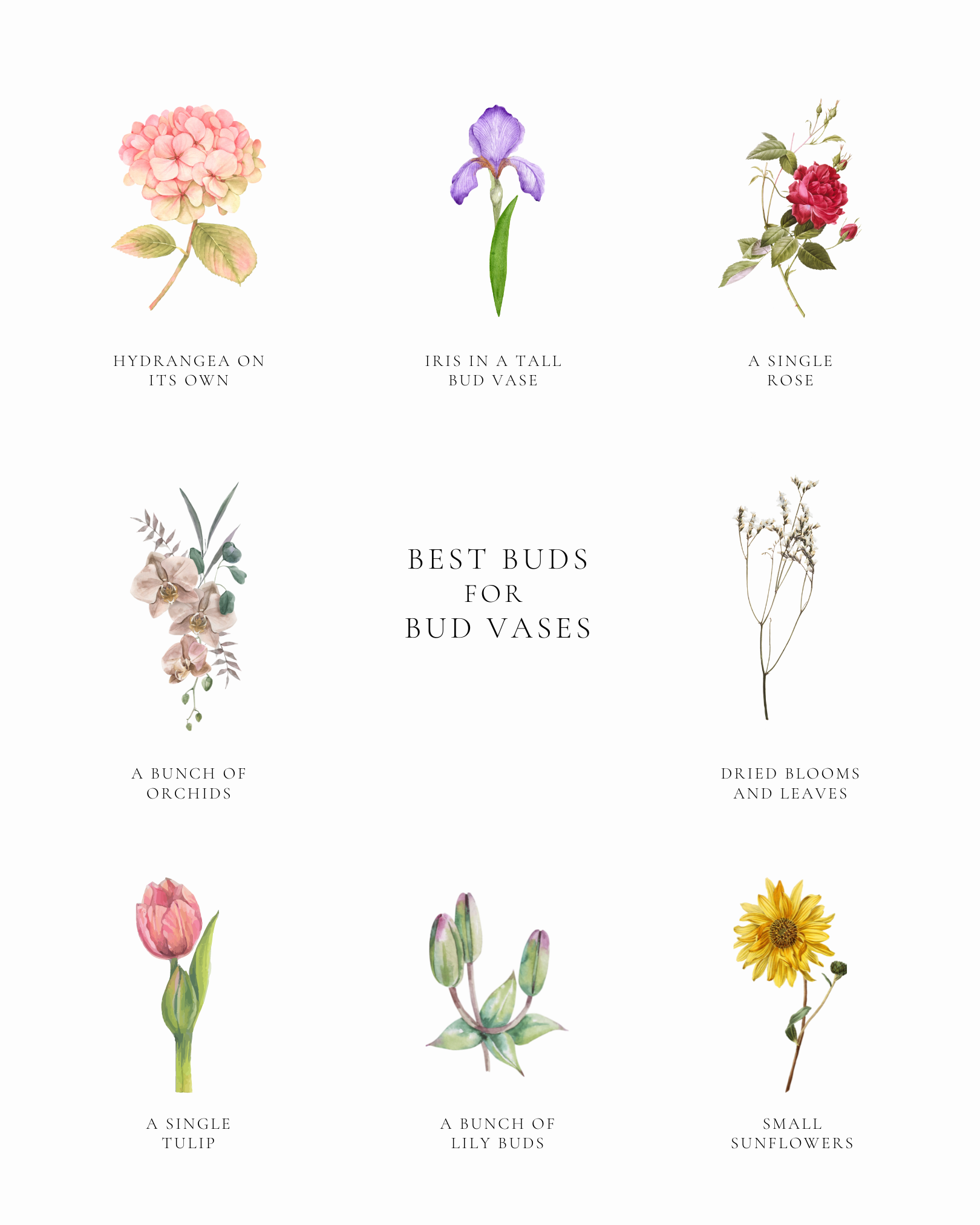 Your Best Bud - How To Style A Bud Vase