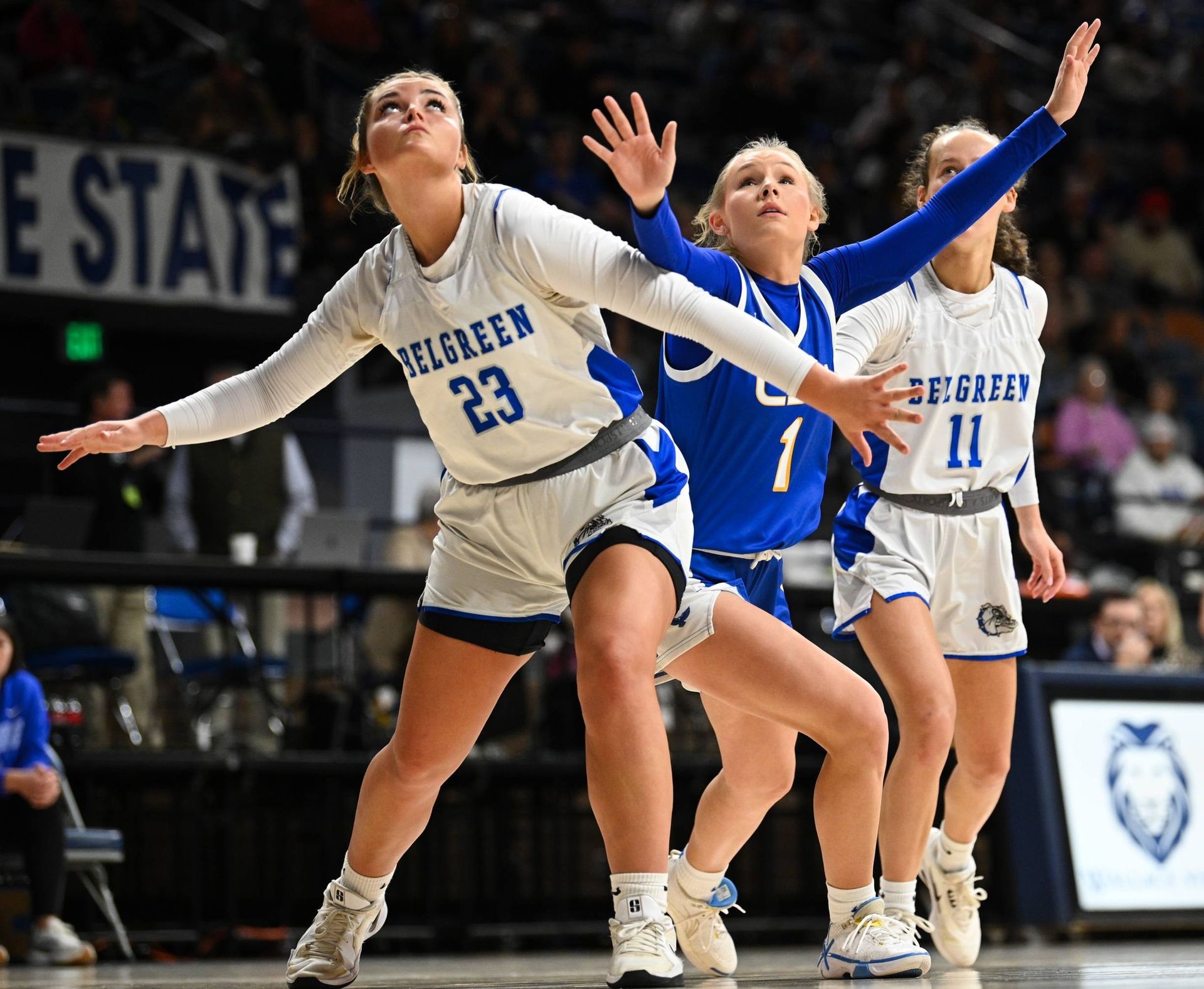 Cold Springs Lady Eagles survive and advance to 2A state title game: