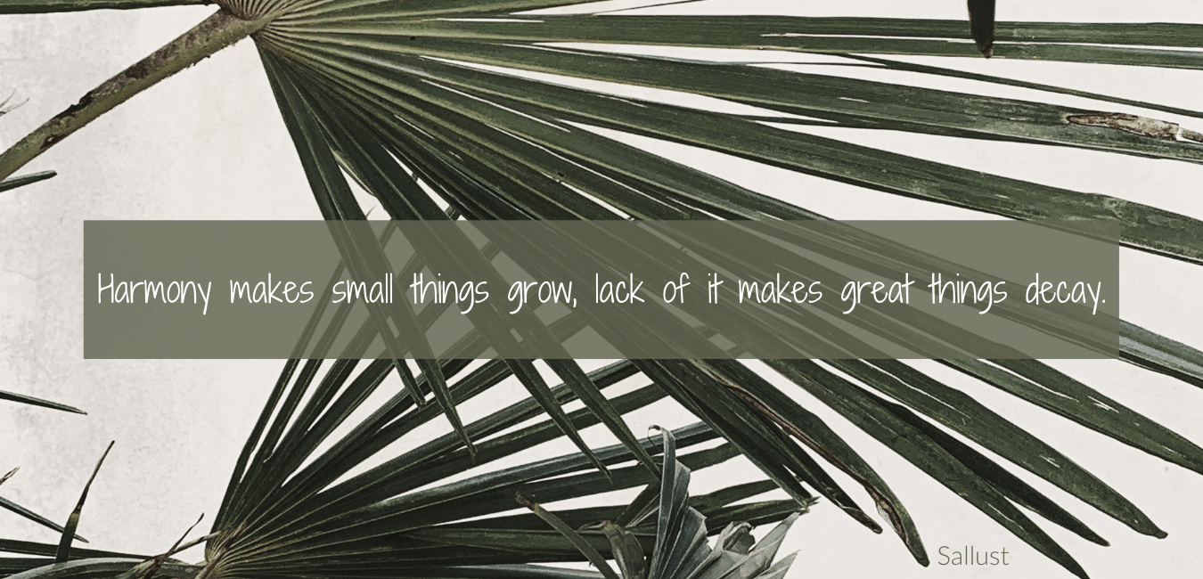 Why you must VIBE with your Digital Marketing Agency!