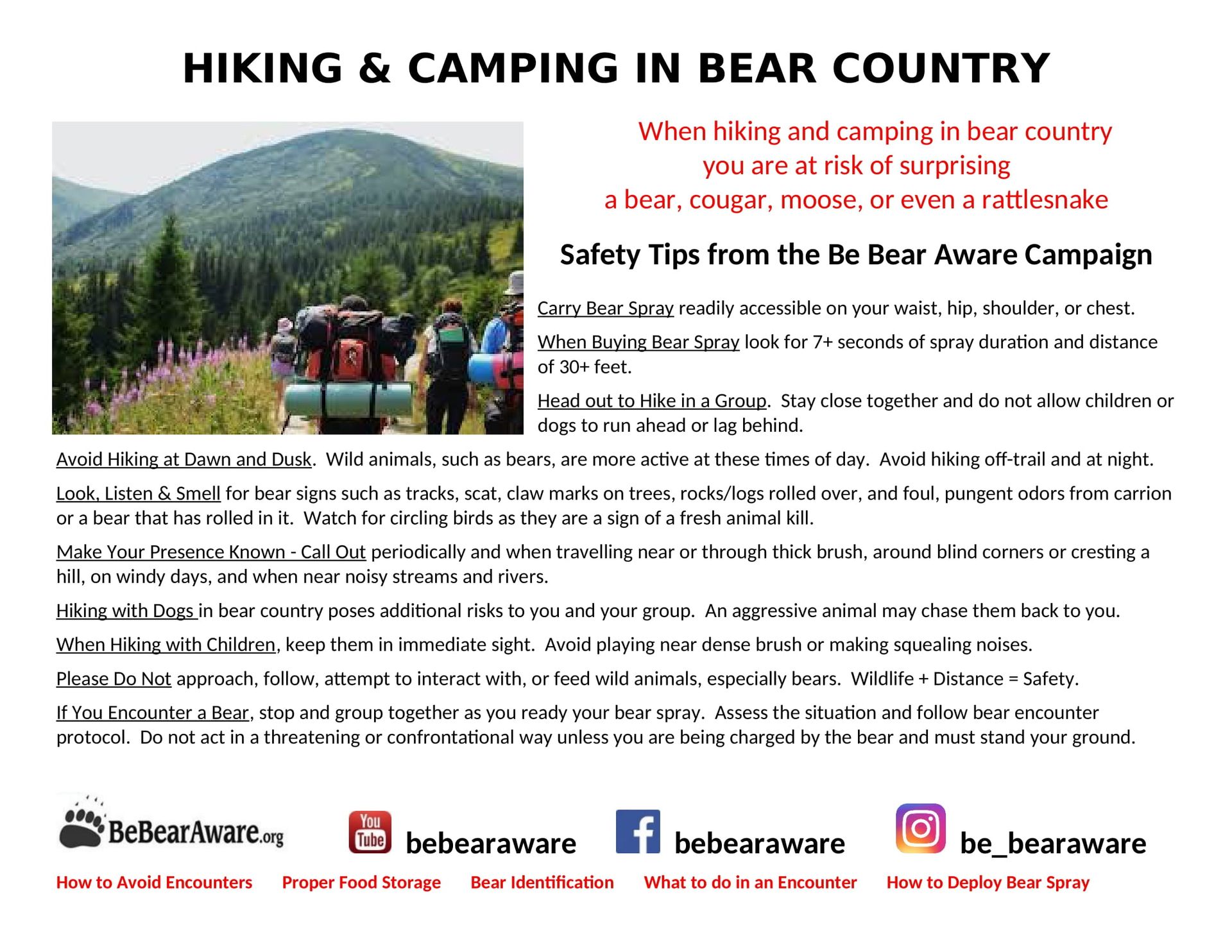 Product & Materials | Be Bear Aware Campaign