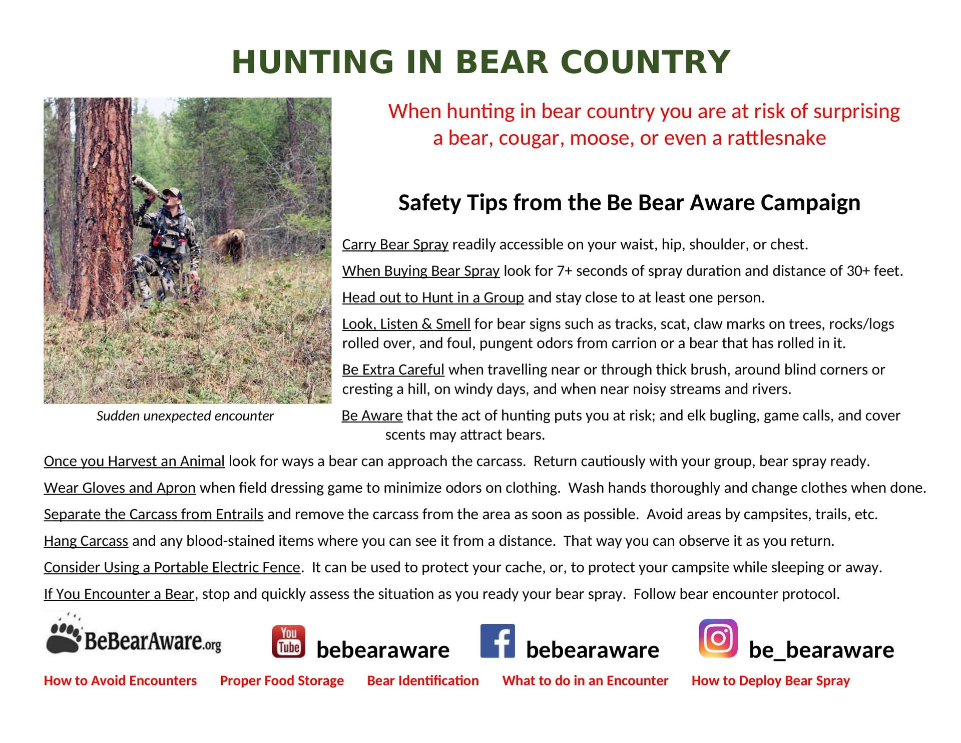 Product & Materials | Be Bear Aware Campaign