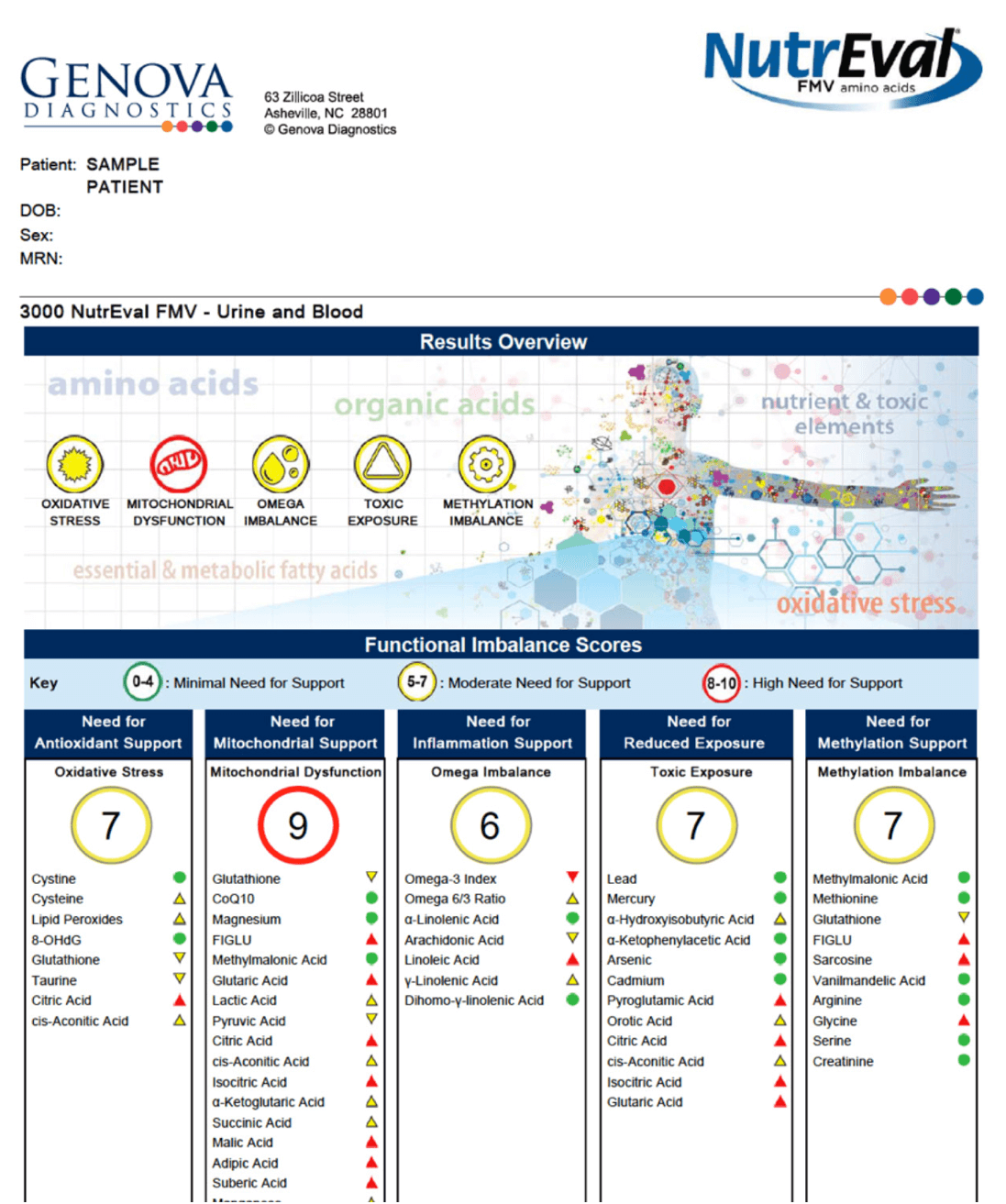 Functional Testing | Micronutrient Assessment | Dallas