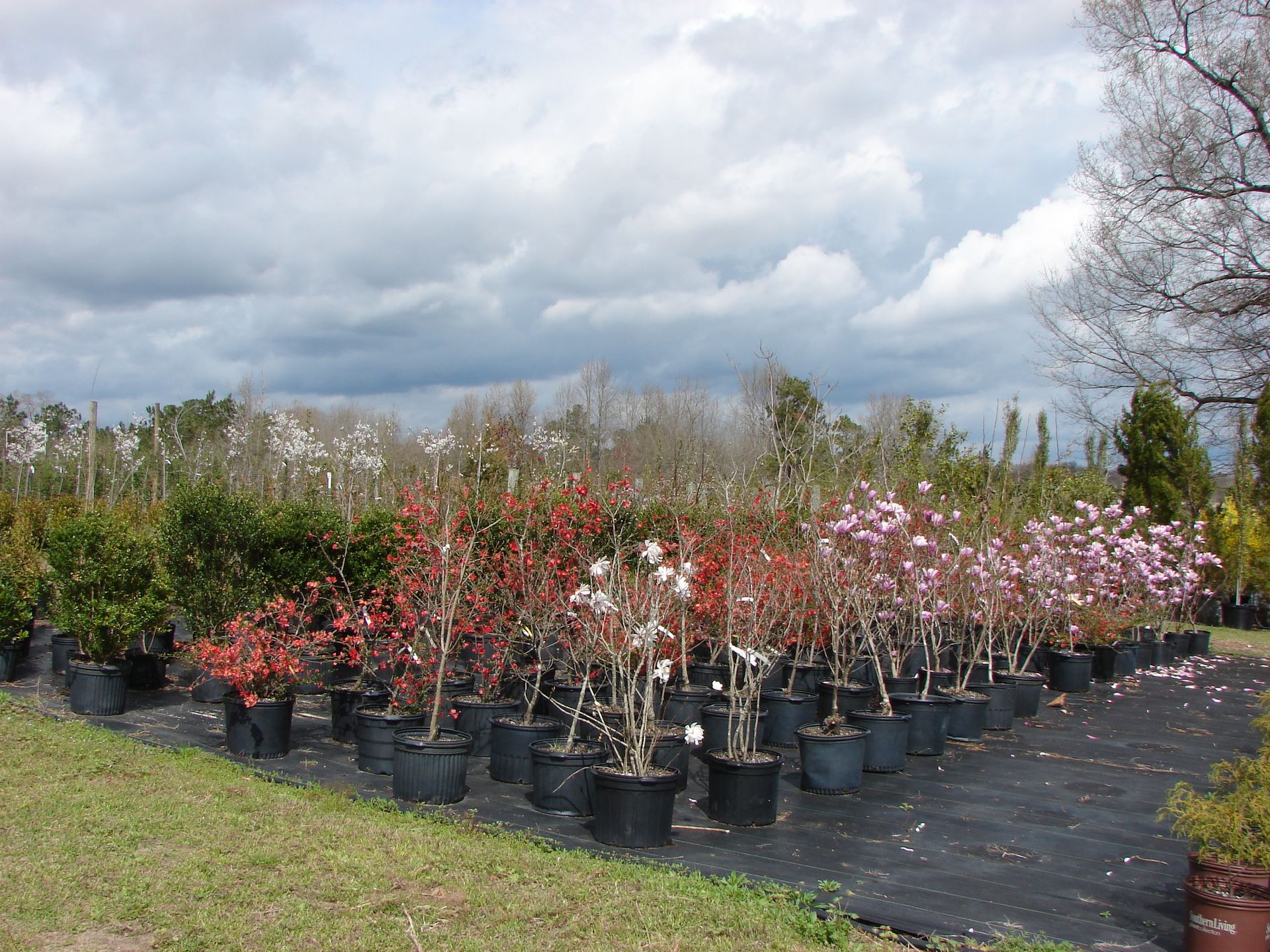 Gallery | Bethune, Kershaw, Lancaster, SC