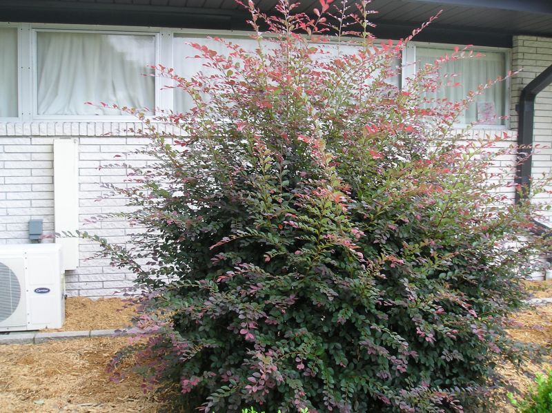 Gallery | Bethune, Kershaw, Lancaster, SC