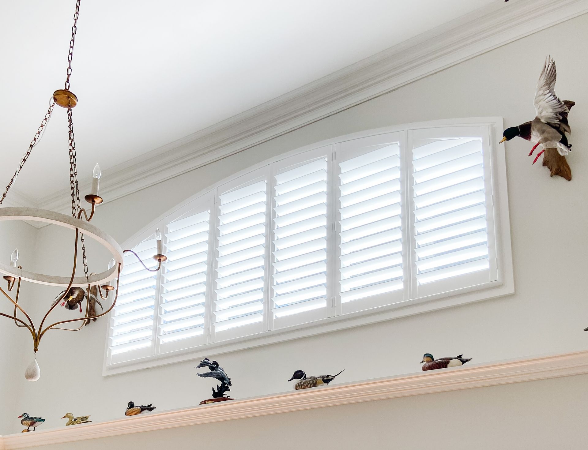 Artisan Shutter | Photo Gallery | Explore our Portfolio