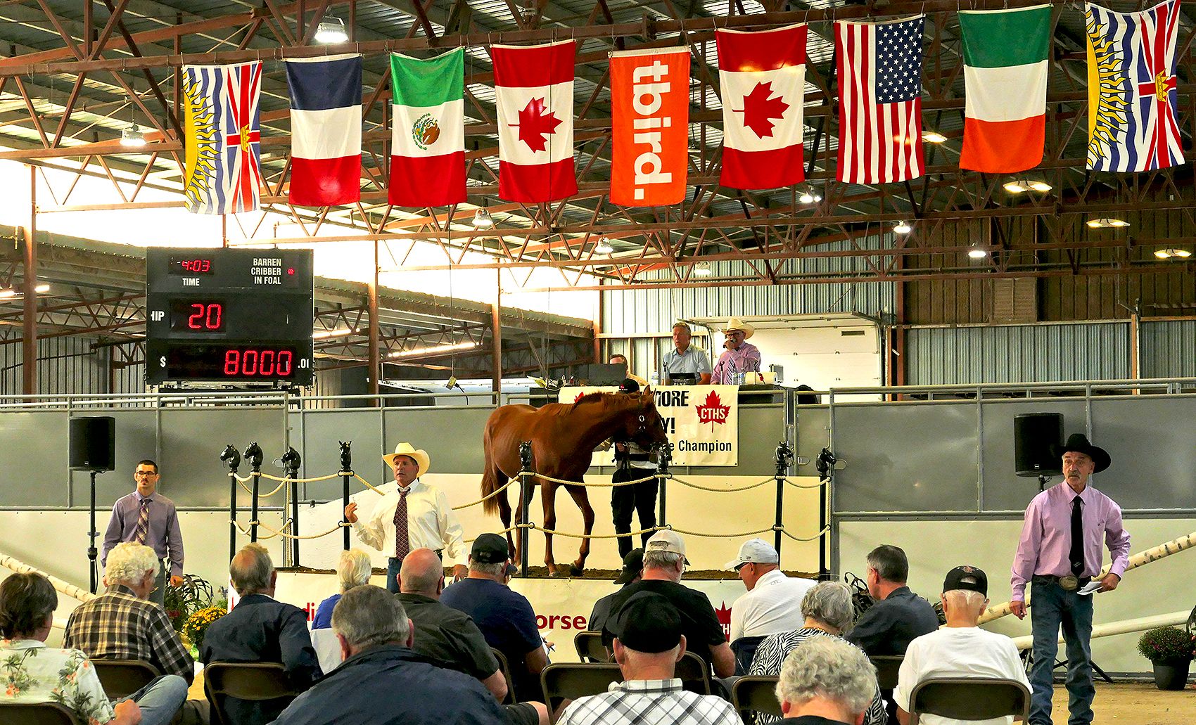 Sale Information - CTHS BC Divison