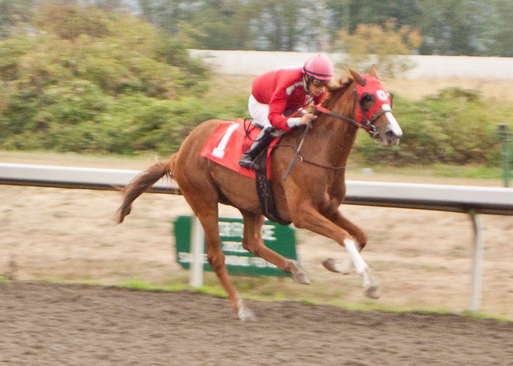 Canadian Thoroughbred Horse Society : British Columbia Division