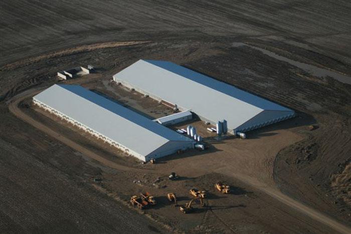 Gallery | Homan, Inc.