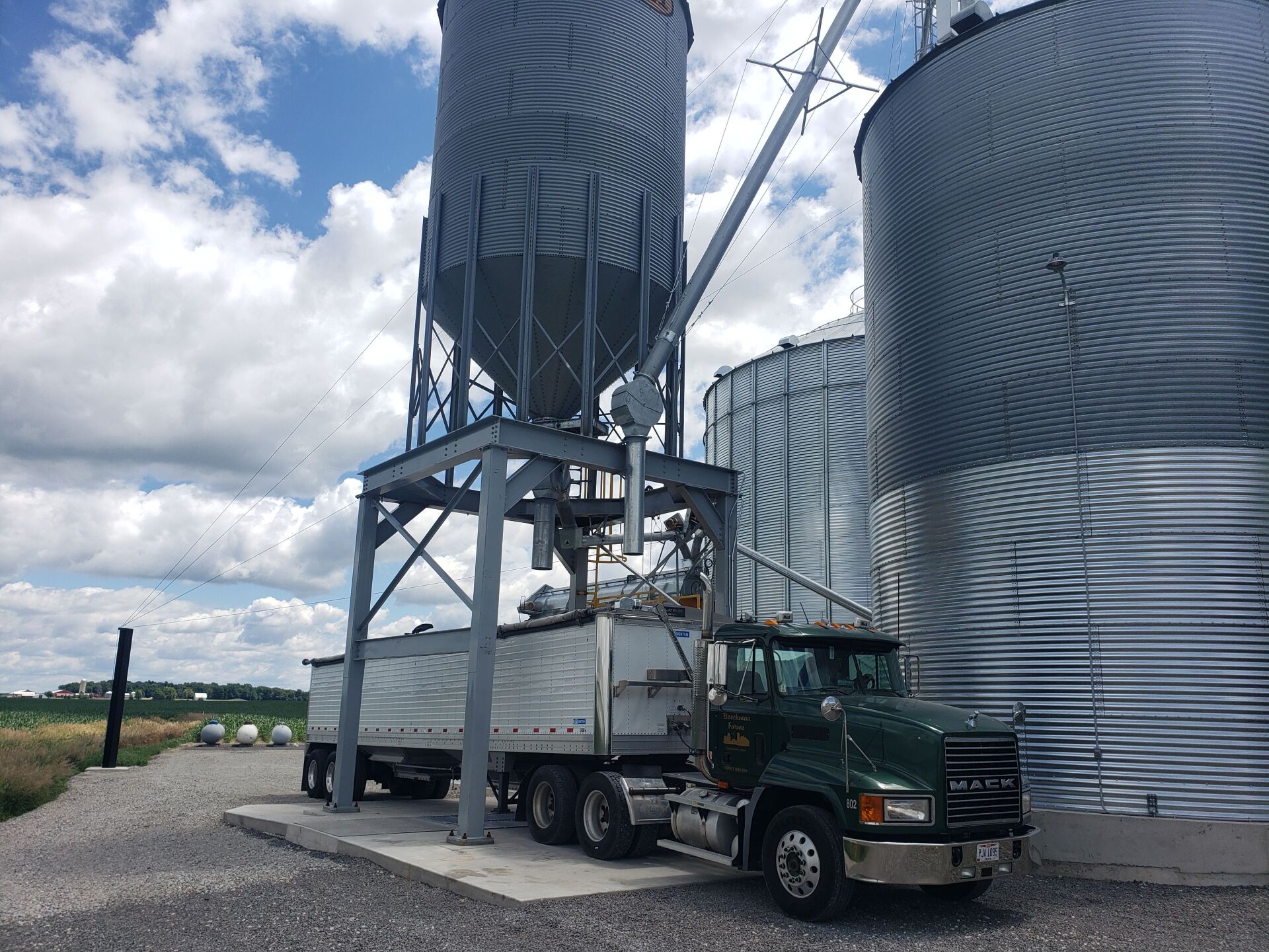 Grain Gallery | Homan, Inc.