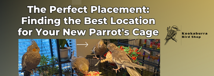 Perfect Placement: Finding the Best Location for a Parrot's Cage
