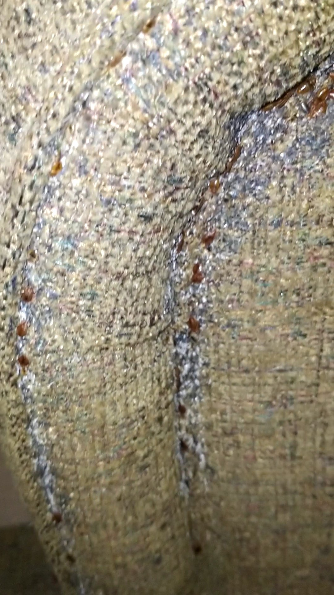 Kingdom Exterminating