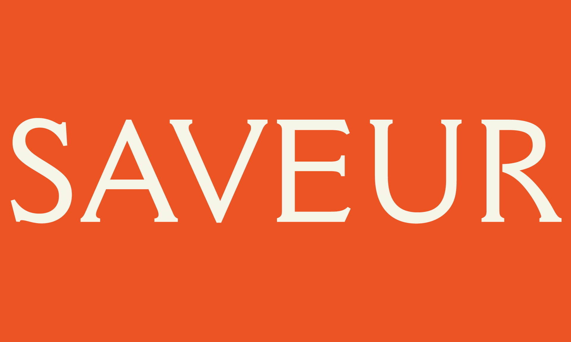 Meet Lisa Turner | Miami, FL | LMT Media Partners