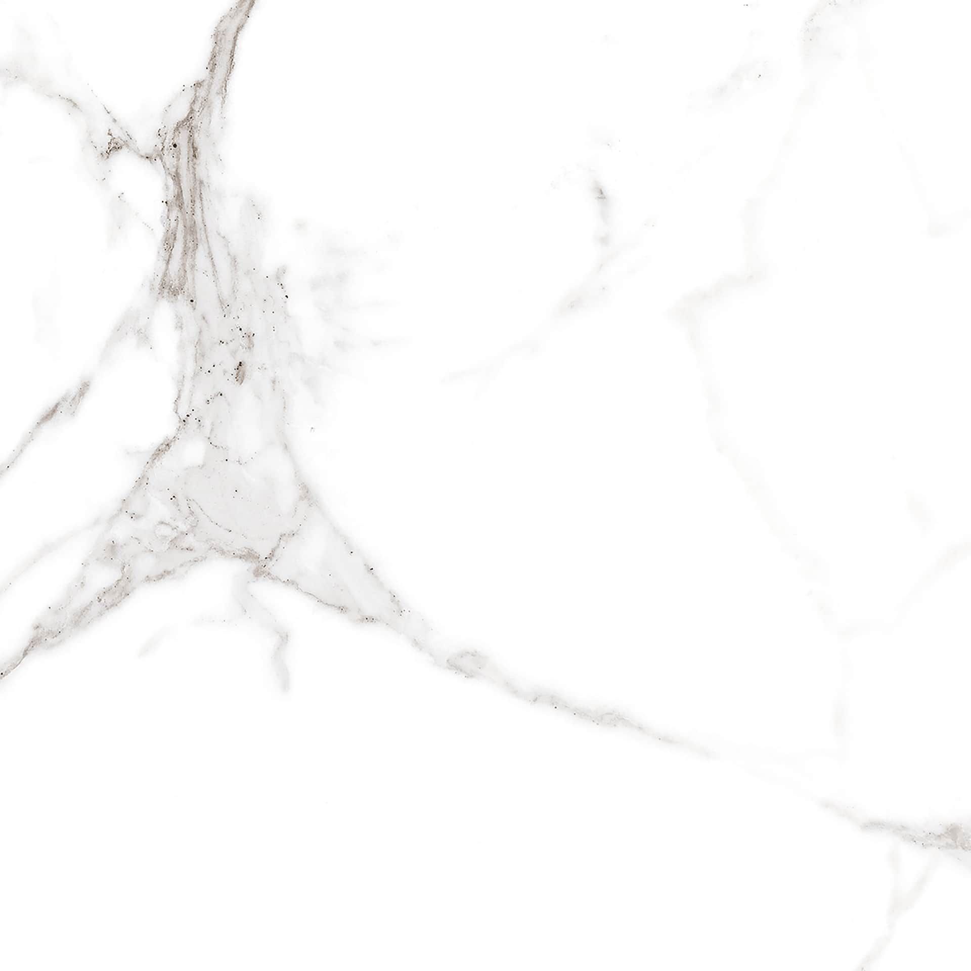 Modern or Urban Tiles Leicester | Designer Tile Co