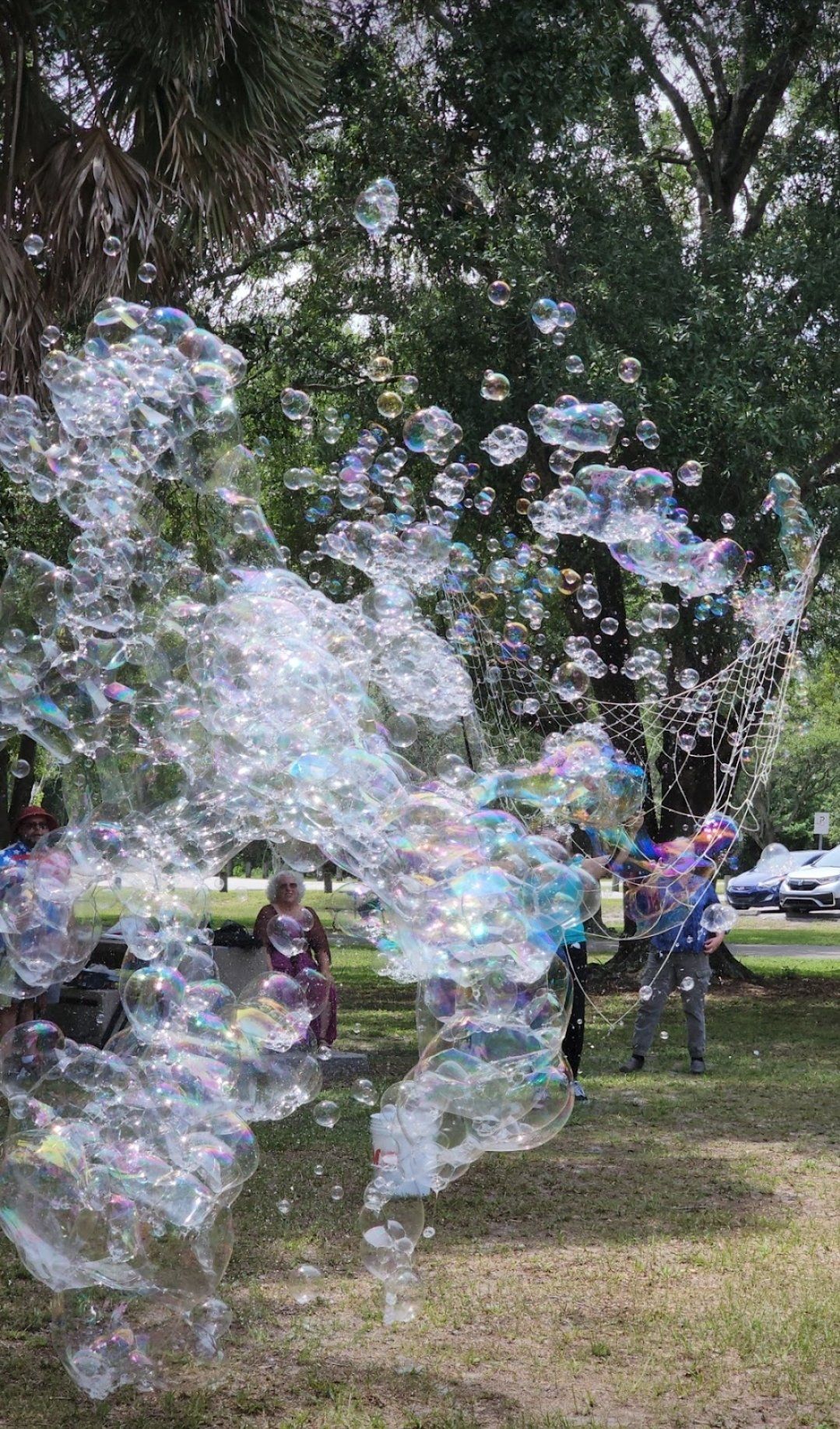Tampa Bubble Shows | Bubble Shows Tampa