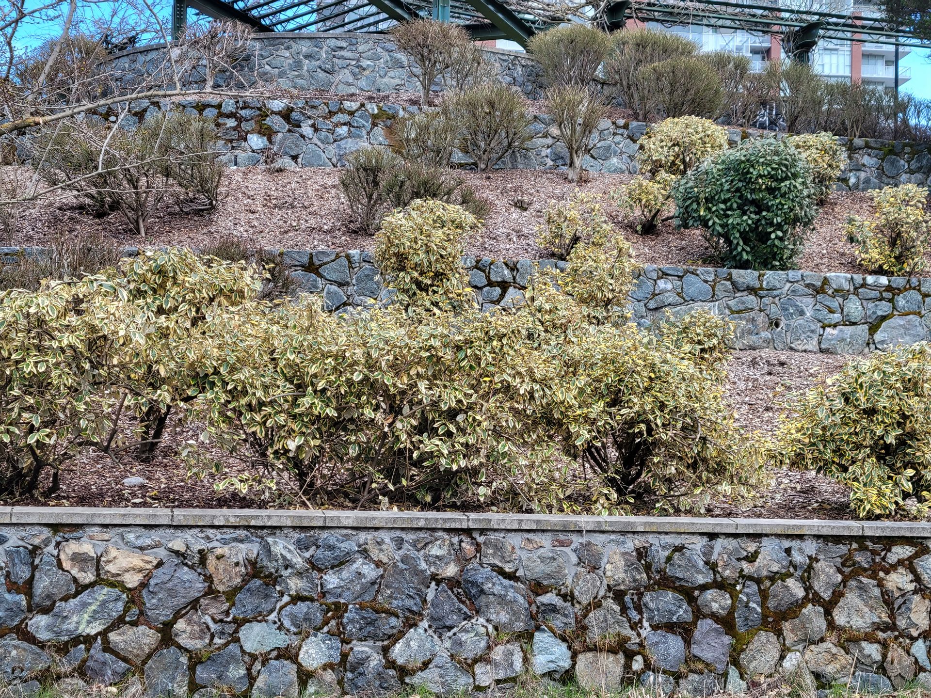 Victoria BC's Expert Retaining Wall Builders | Durable Walls