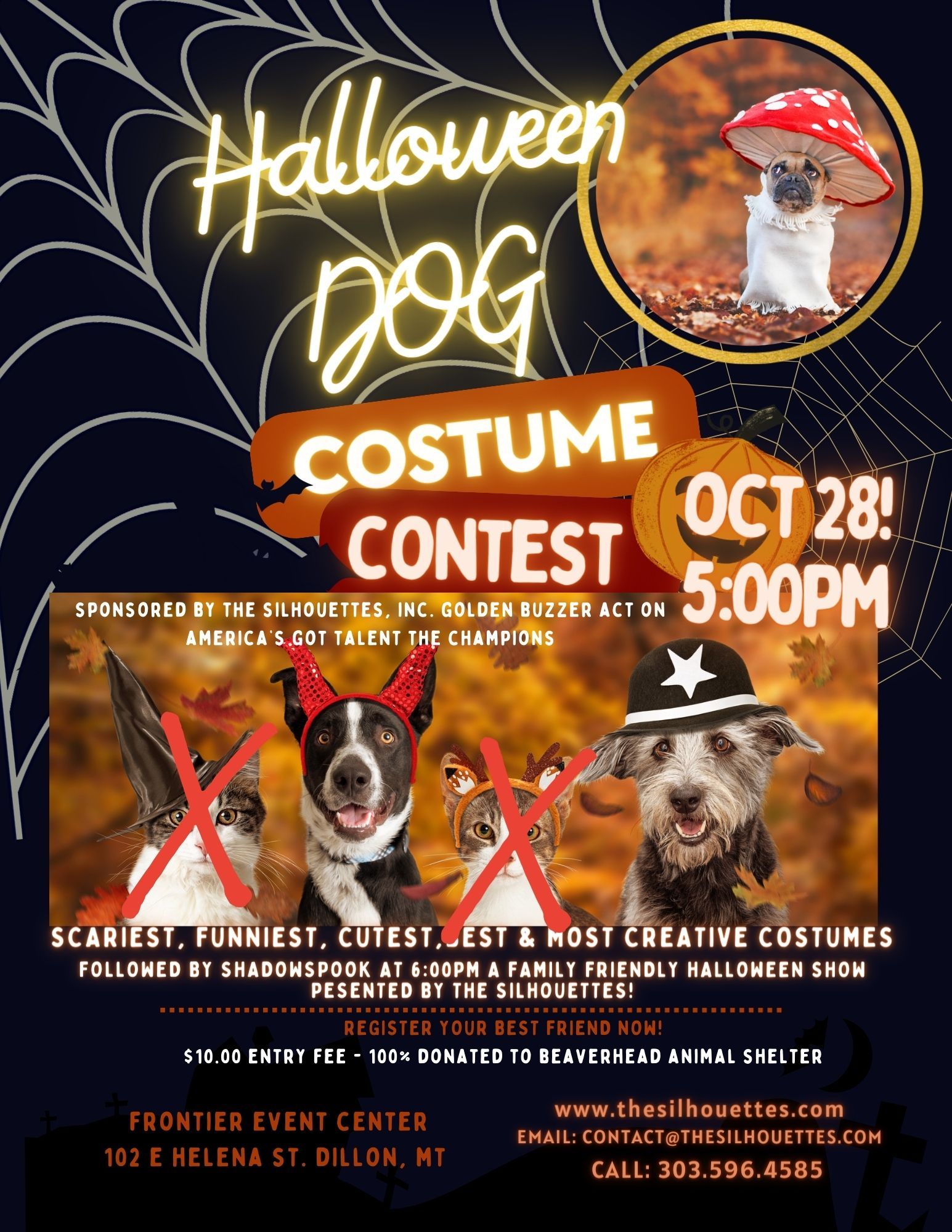 The Silhouettes® | GOLDEN BUZZER WINNERS AGT Champions 2020!