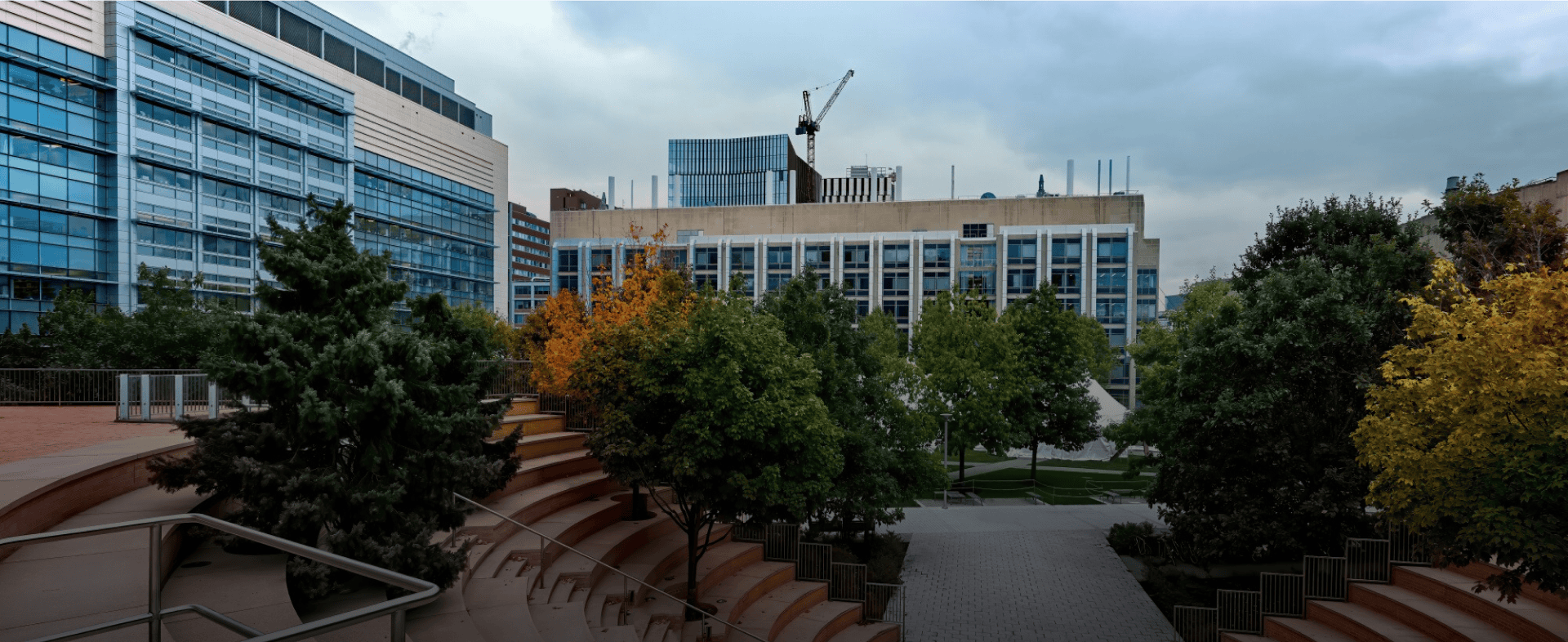 National Center for Life and Liberty