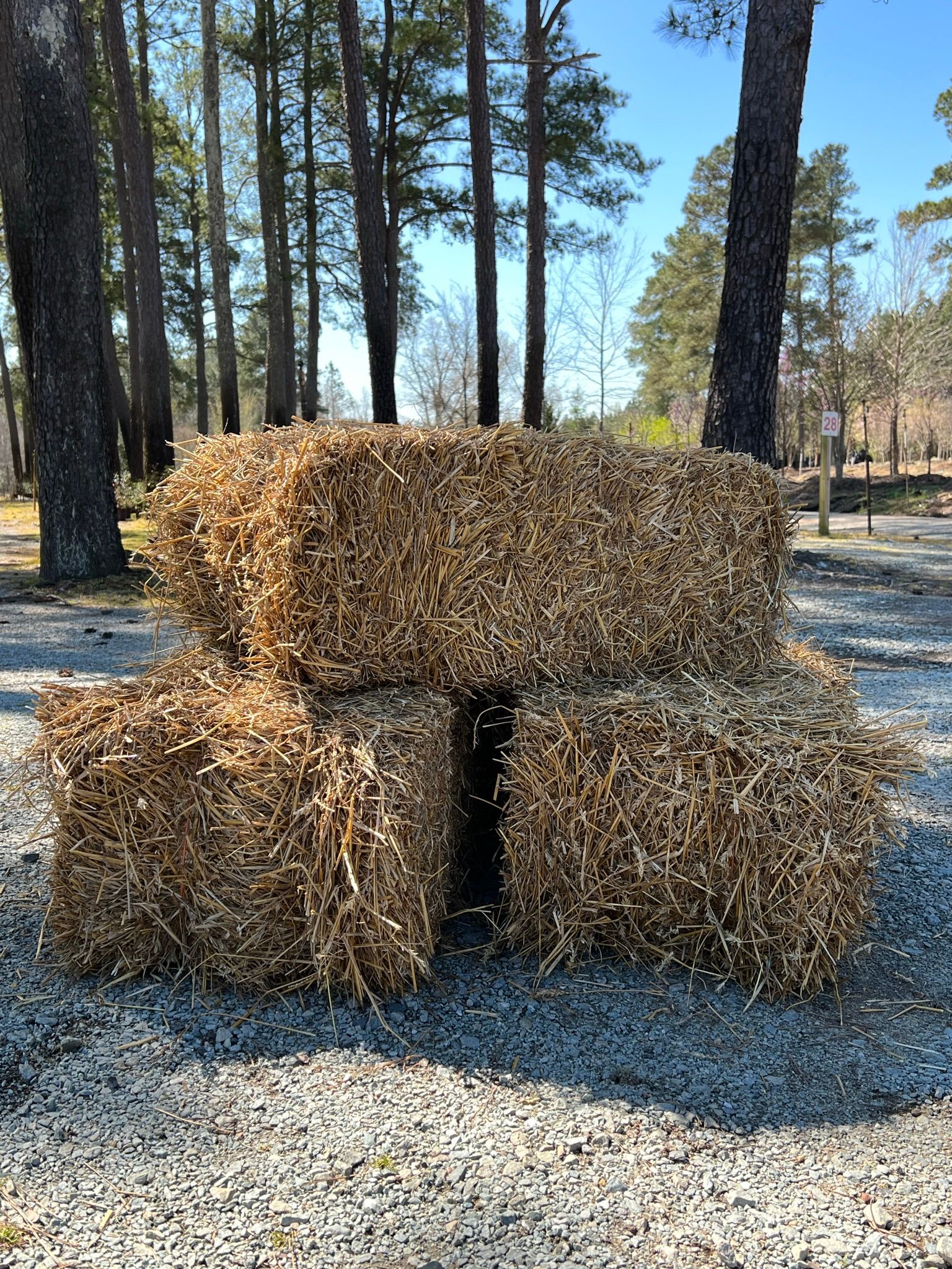 Landscape Plant Nursery Near Raleigh, NC