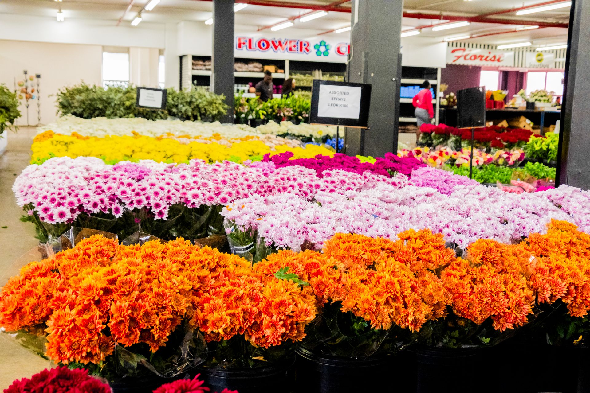 Flower Centre for Floral Arrangements | Multiflora