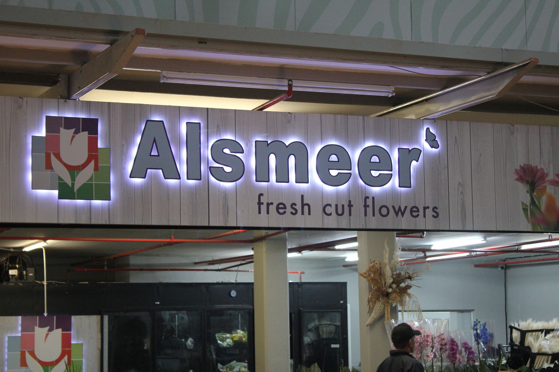 Cut Flowers | Alsmeer Flowers | Multiflora Mall