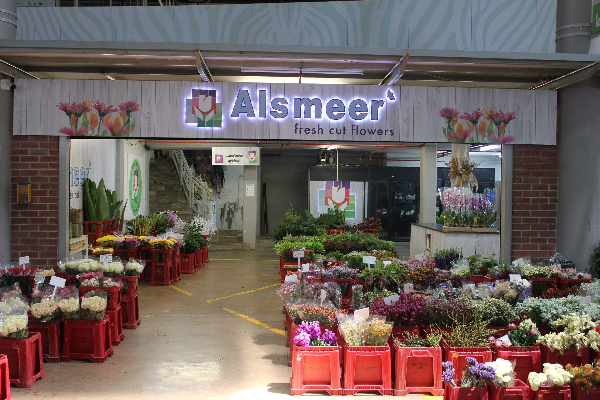 Cut Flowers | Alsmeer Flowers | Multiflora Mall