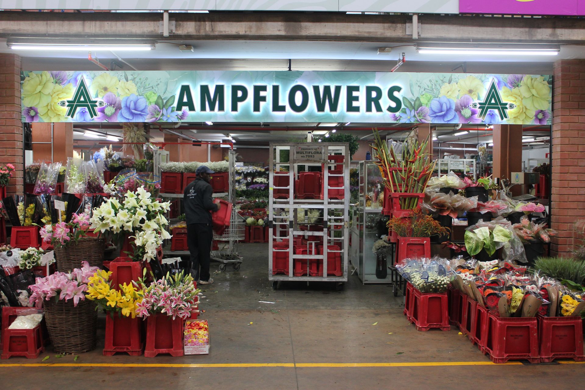 Online Flower Order: AMP Flowers | Multiflora Mall
